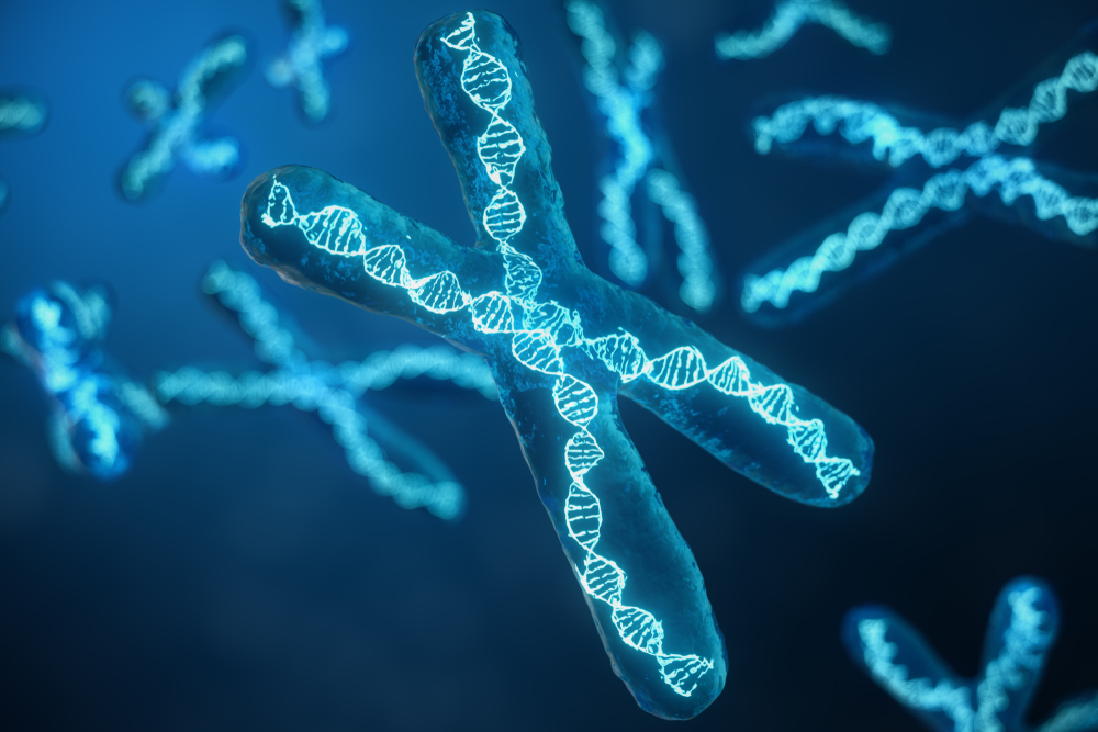 JAK2 (Janus Kinase 2) mutation | Pathology Tests Explained