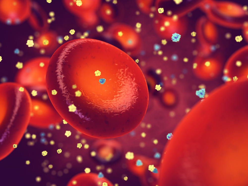 Beta-2-transferrin | Pathology Tests Explained